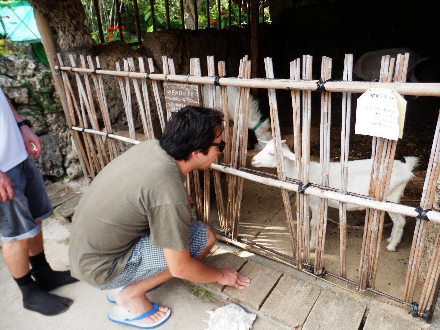 Top 10 Okinawan Foods You Must Try | InsideJapan Tours