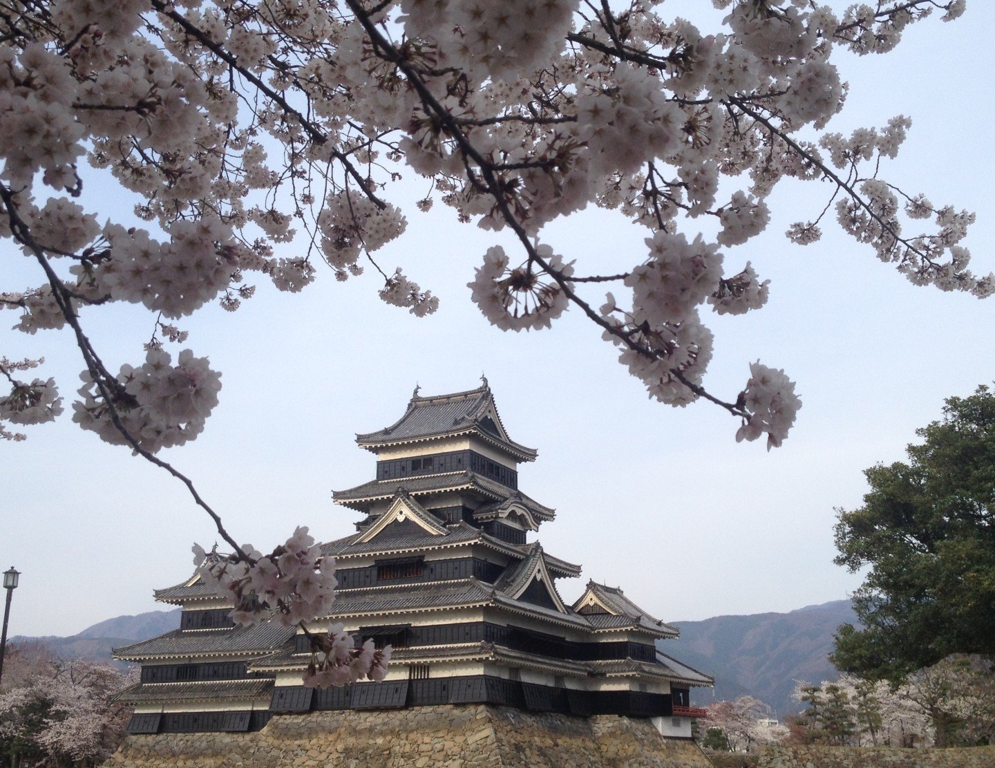 Japan Spring Elegance in pictures | InsideJapan Blog