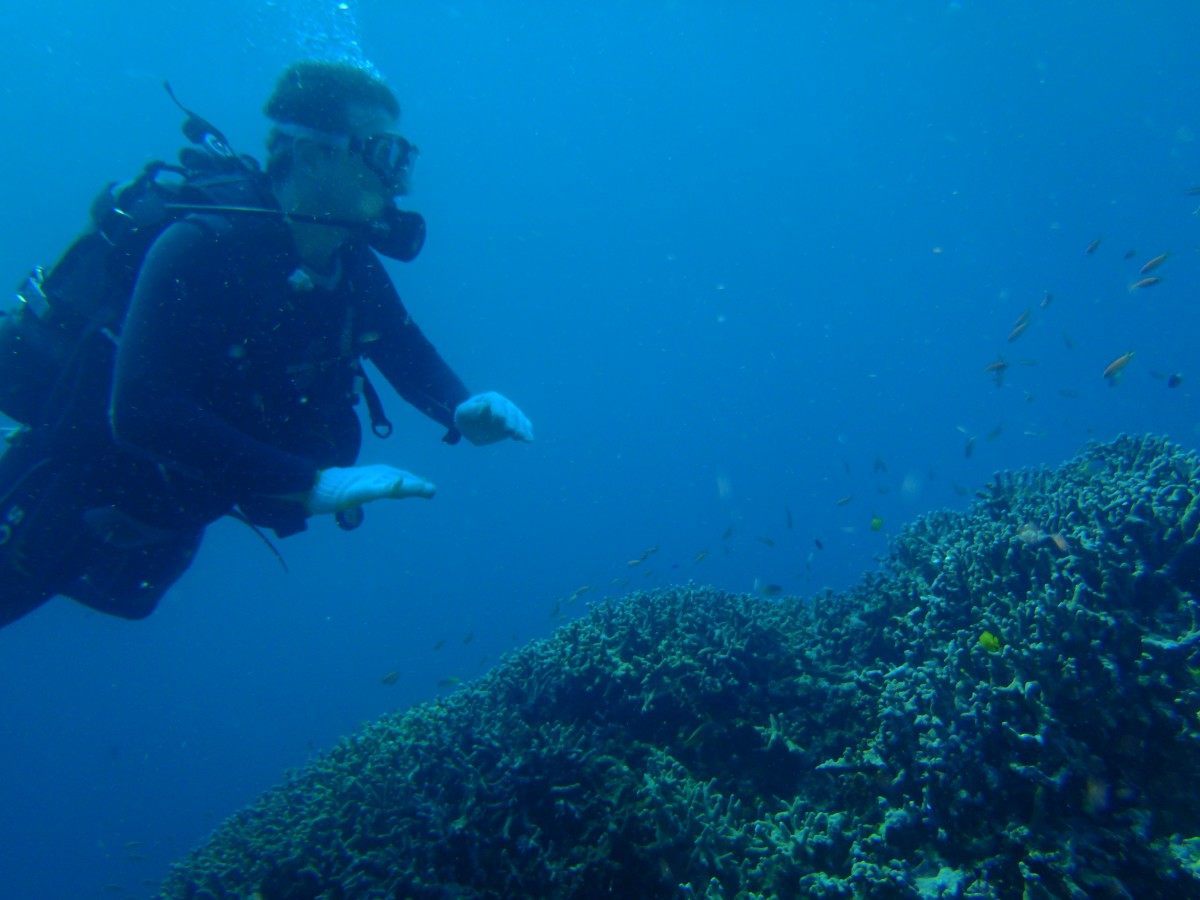 My First Dive in Japan - InsideJapan Blog