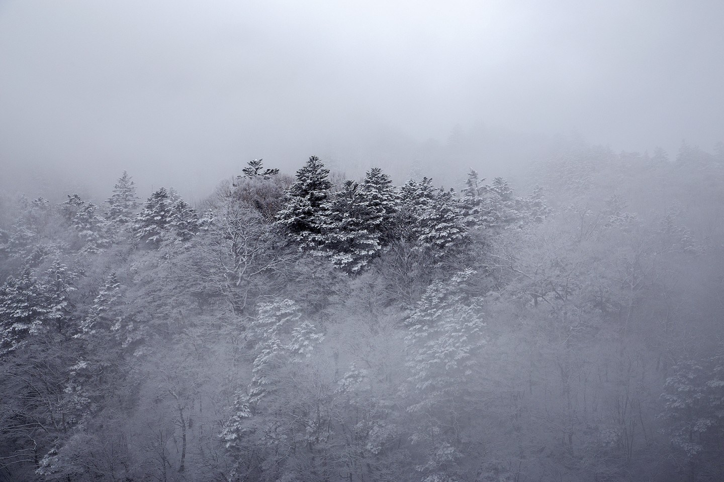 Nikko is Nippon | InsideJapan Tours