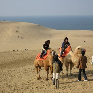18 great Japanese beach destinations | InsideJapan Blog