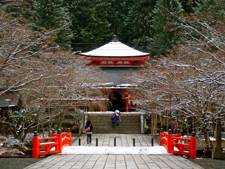 How not to visit Mount Koya: A step-by-step guide | InsideJapan Tours