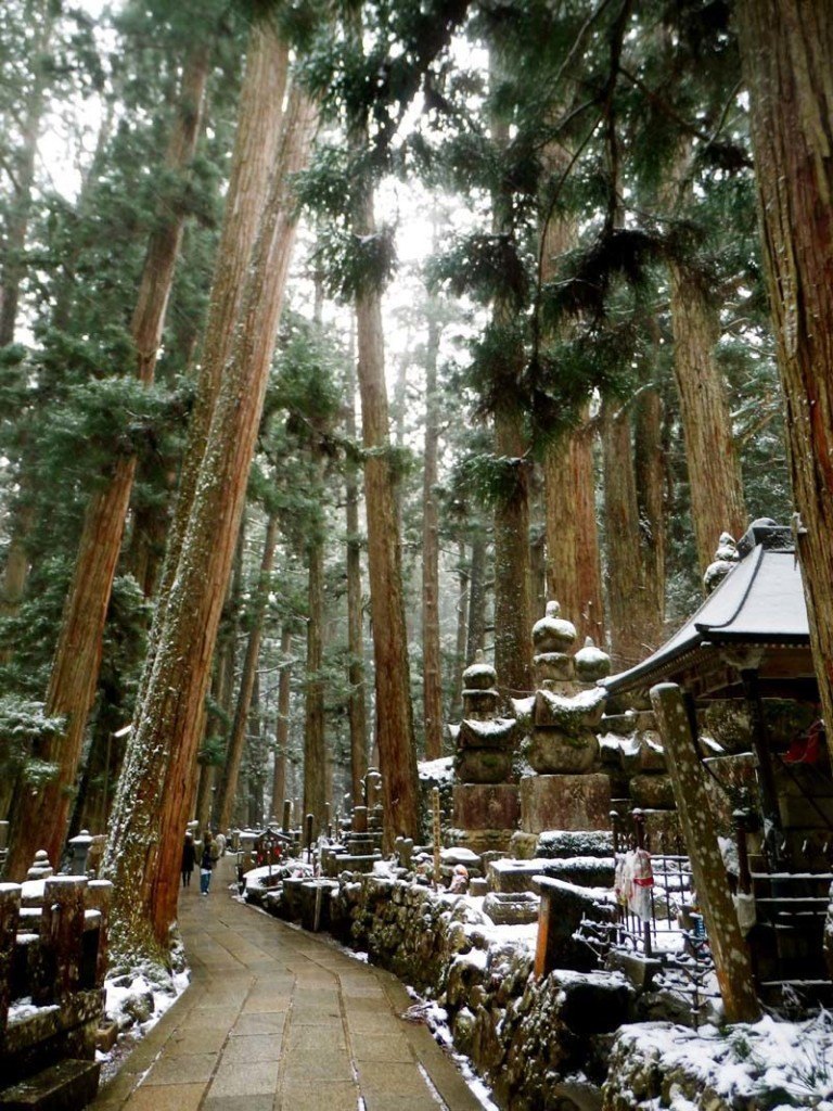 How not to visit Mount Koya: A step-by-step guide | InsideJapan Tours