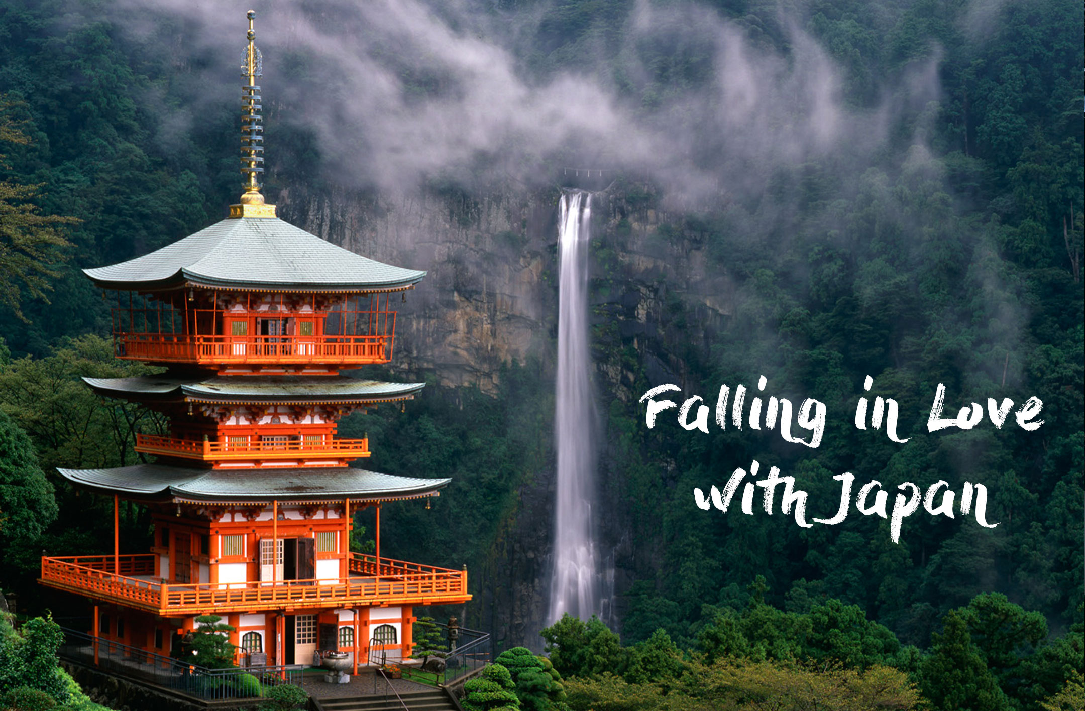 Falling in love with Japan | Inside Japan Tours