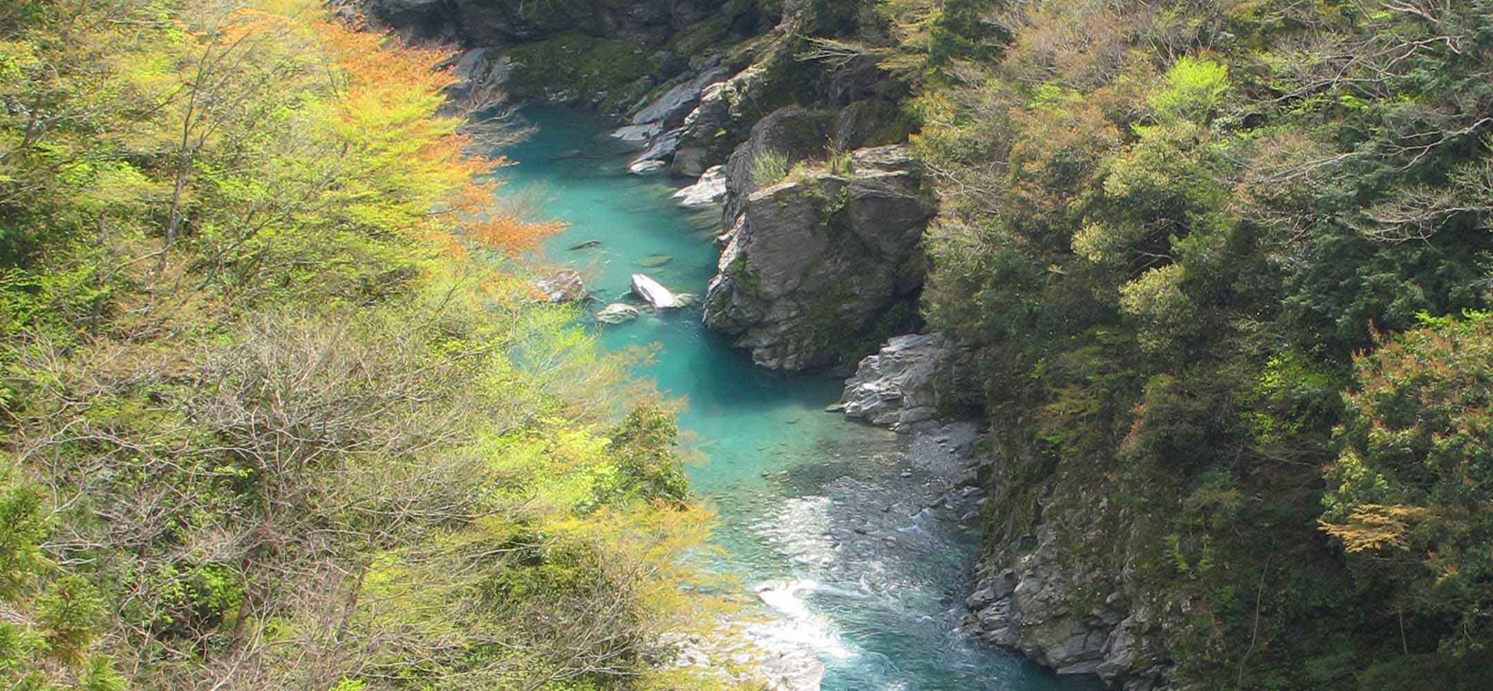 Iya Valley, Shikoku | Inside Japan Tours
