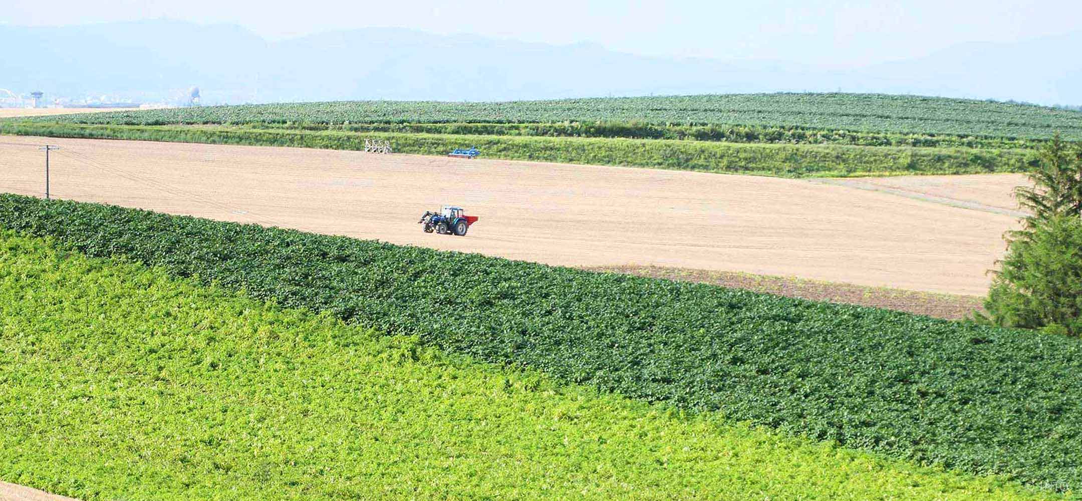 Biei, Hokkaido | Inside Japan Tours