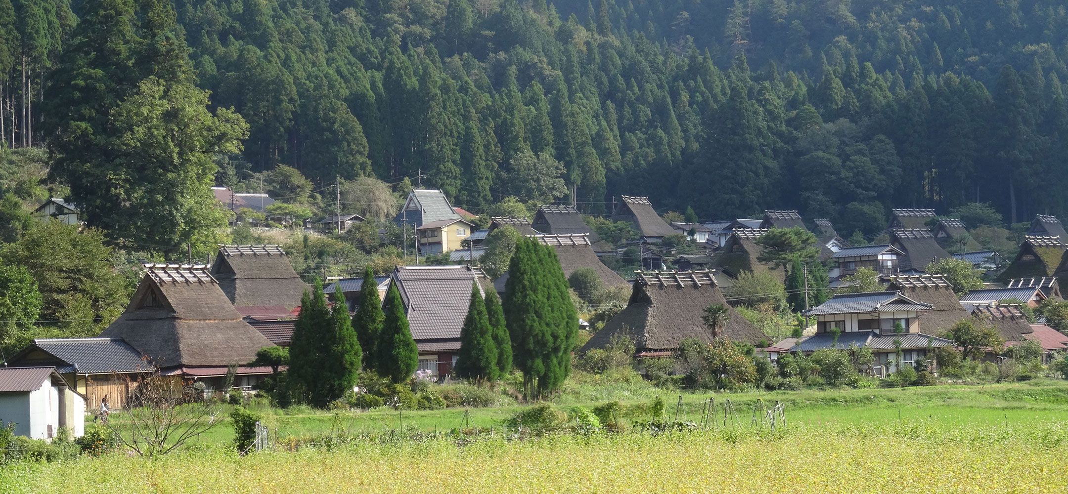 Miyama, Kinki | Inside Japan Tours