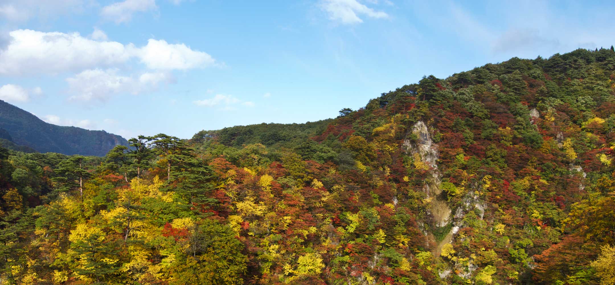 Naruko Onsen, Tohoku | Inside Japan Tours