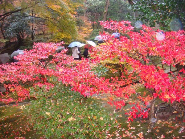 Independent Travel Review | InsideJapan Tours AU