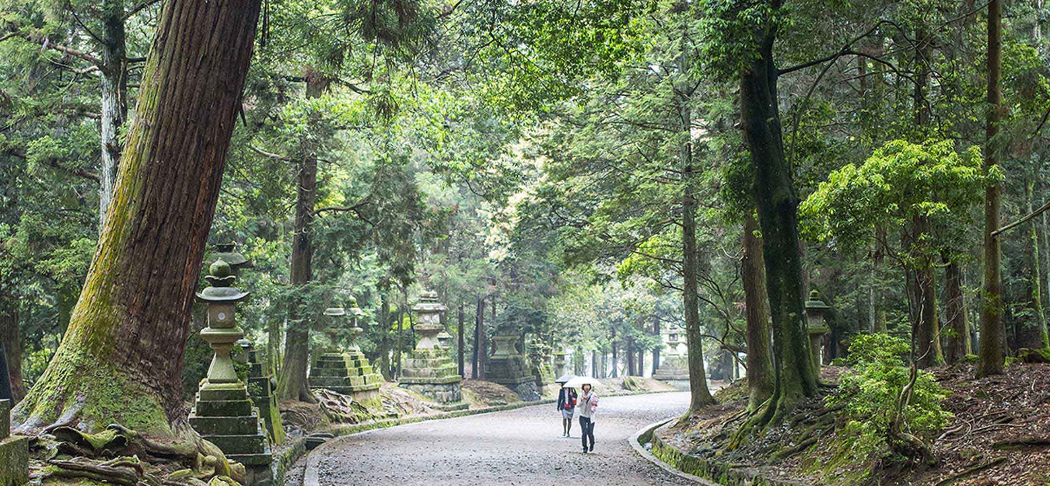 Visit Kinki | Inside Japan Tours