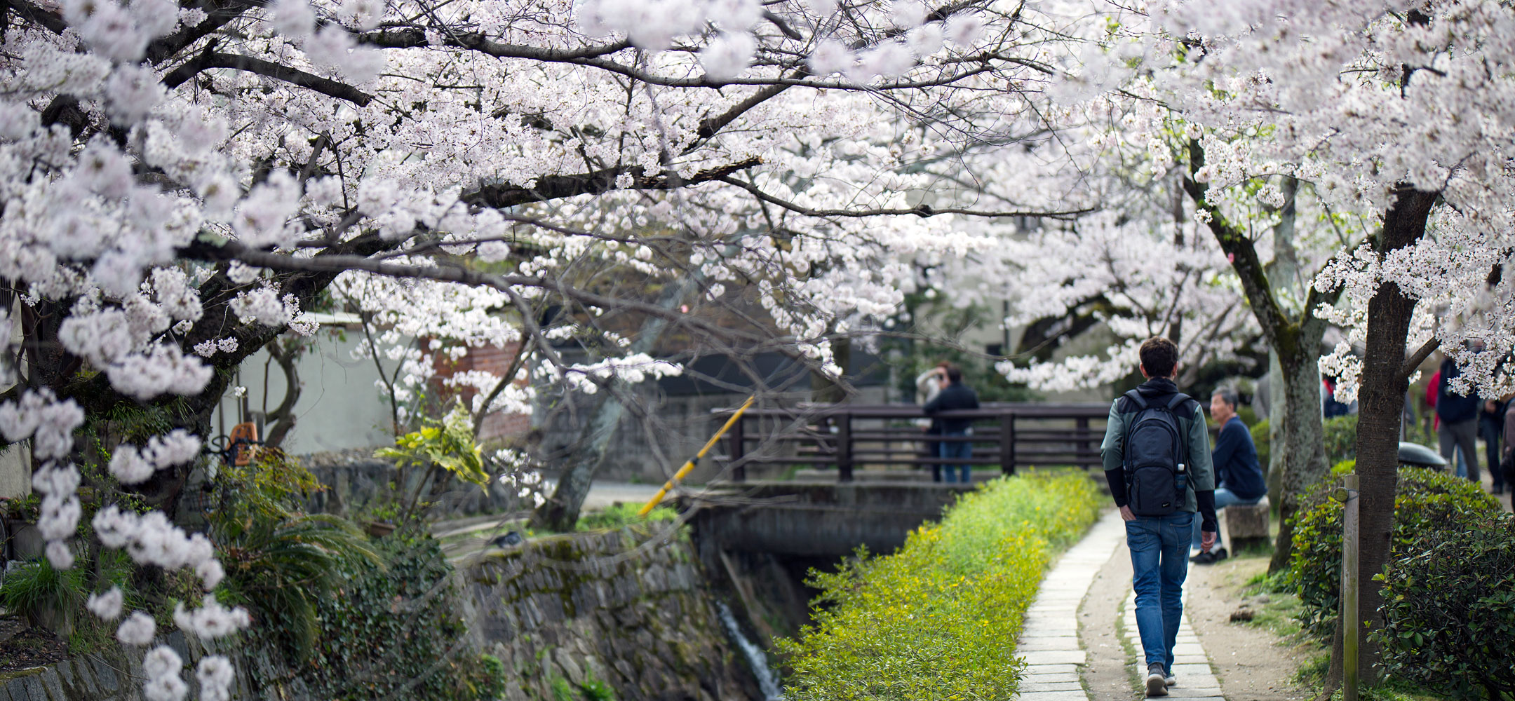 Japan Solo - Self Guided Adventure | Inside Japan Tours