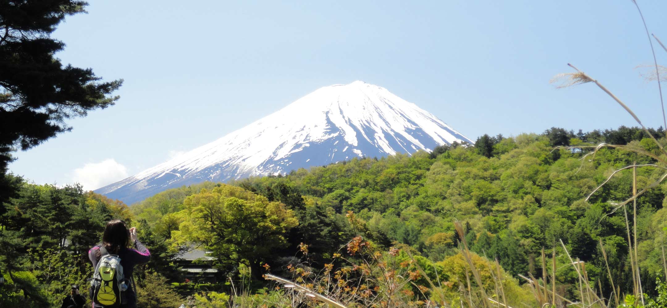 Views of Mount Fuji - Experience Japan | Inside Japan Tours