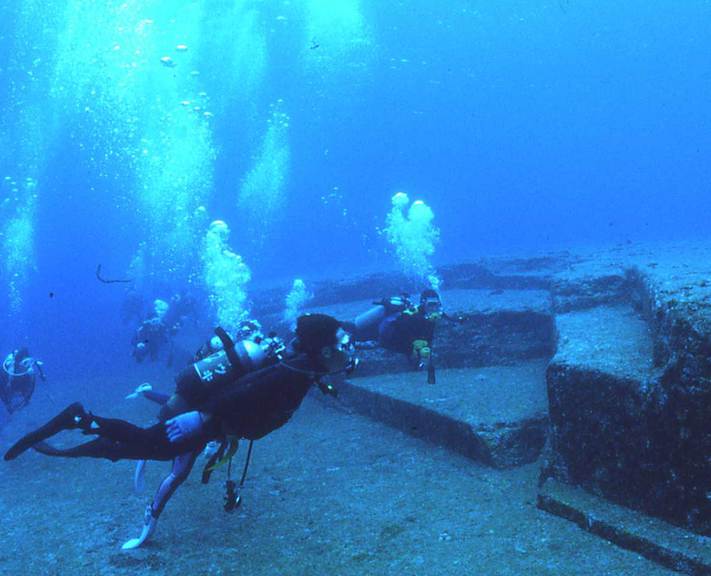 Hammerhead sharks - Experience Japan | Inside Japan Tours