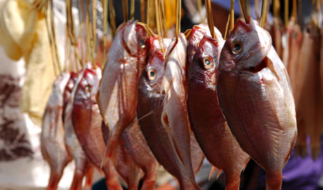 Gastronomic Adventure Self-Guided | InsideJapan Tours